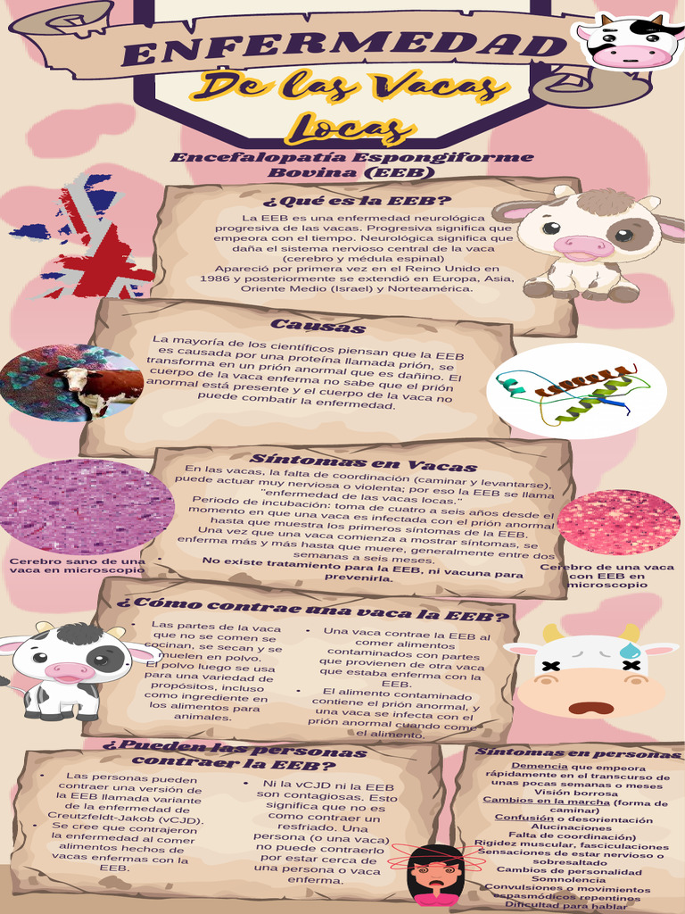 Infografía EEB Vacas Locas | PDF | Medicina | Enfermedades y trastornos ...