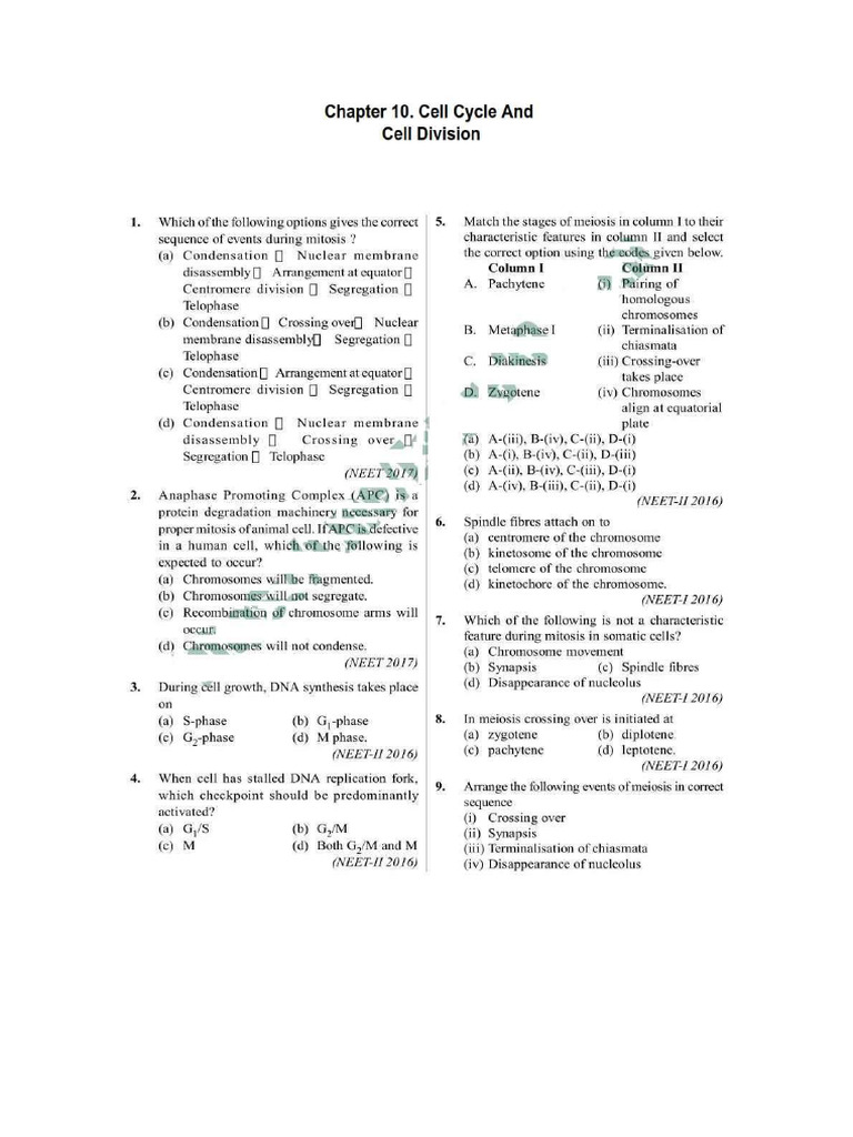 Selfstudys Com File | PDF