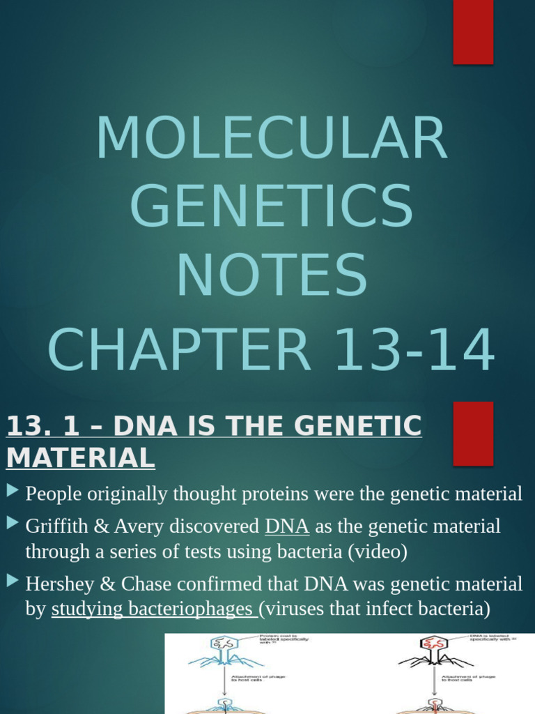 Molecular Genetics | PDF | Rna | Translation (Biology)