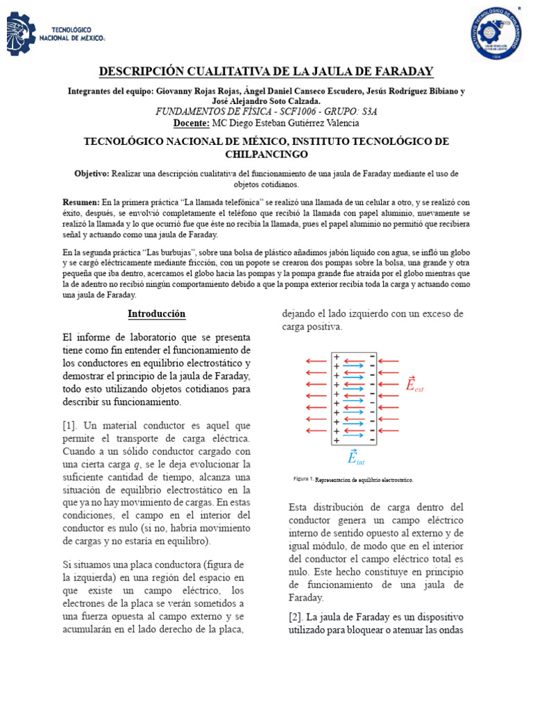 Funcionamiento de la Jaula de Faraday | PDF | Electrostática | Física