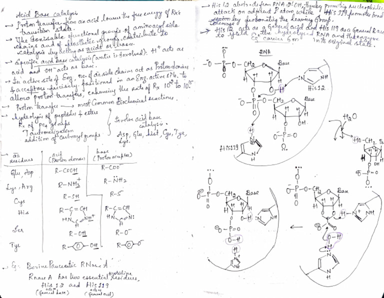 Acid Base Catalysis - Et | PDF