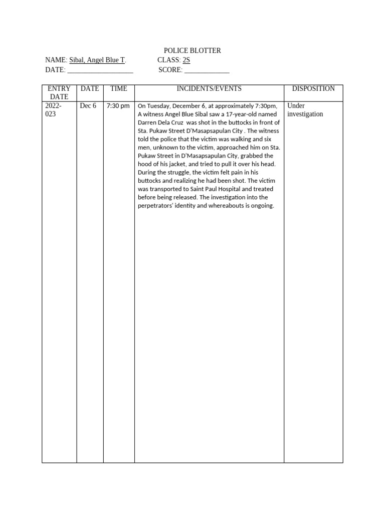 Police Blotter Format | PDF