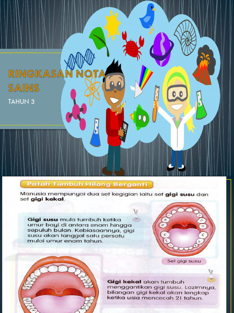 RINGKASAN NOTA SAINS TAHUN 3.pptx Version 1 | PDF