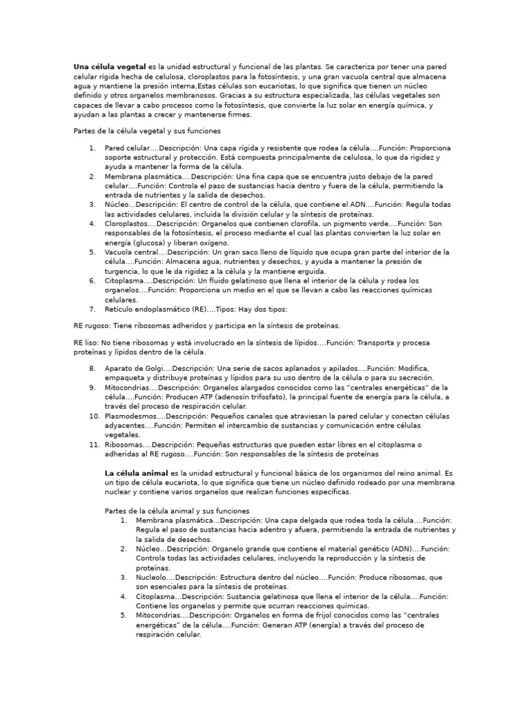 Célula 2 Pdf Citoplasma Biología Celular