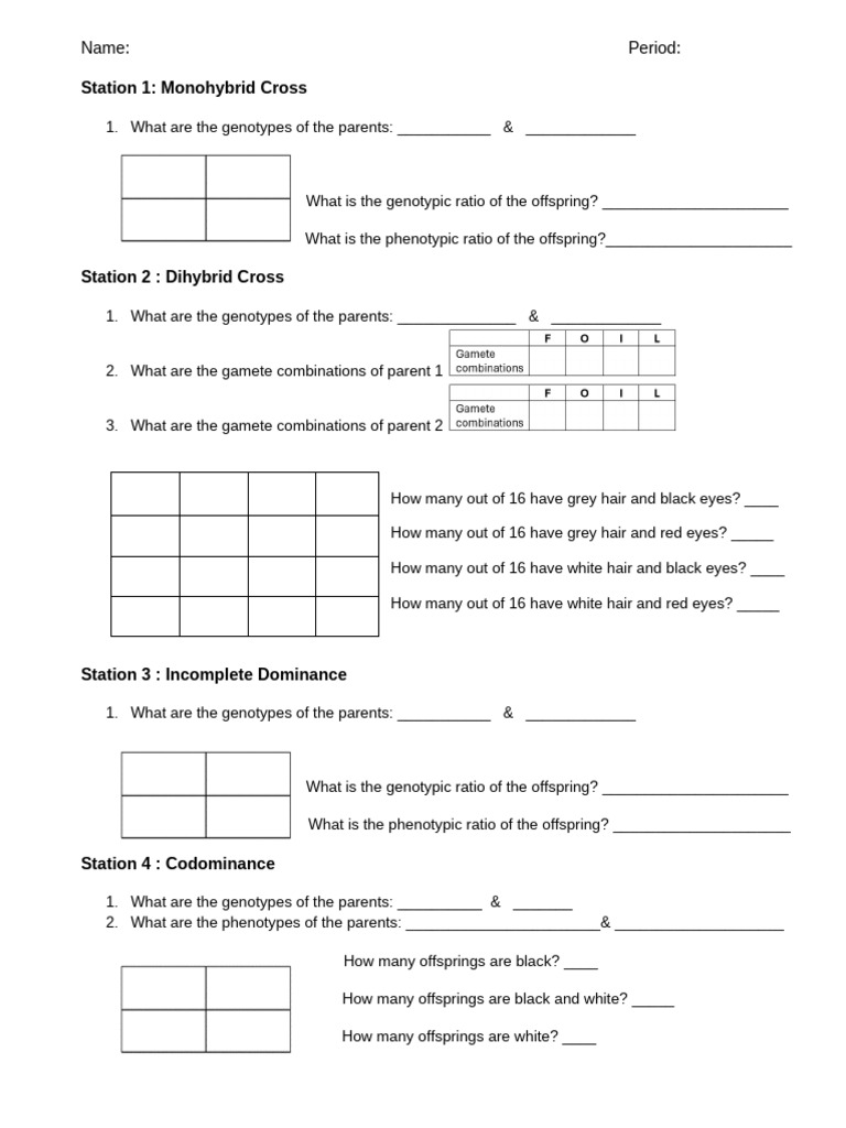 Mendelian and Non Mendelian Genetics Review Station | PDF | Genotype ...