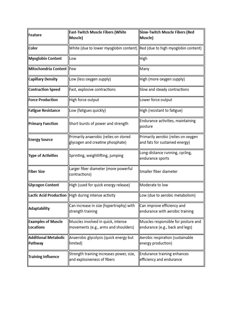 Fast Vs Slow Twitch Muscles | PDF | Skeletal Muscle | Strength Training