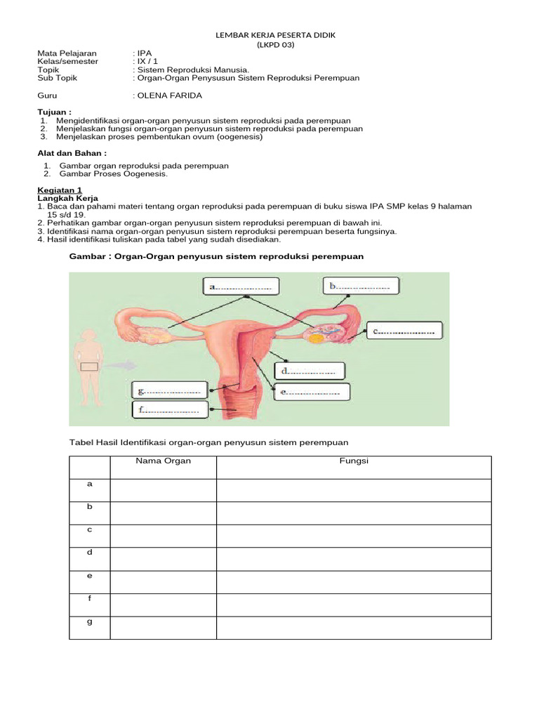 Organ Reproduksi Perempuan Kelas 9 | PDF | Sains & Matematika