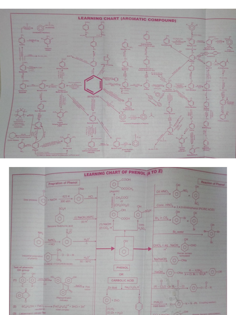 Maran Short Notes | PDF