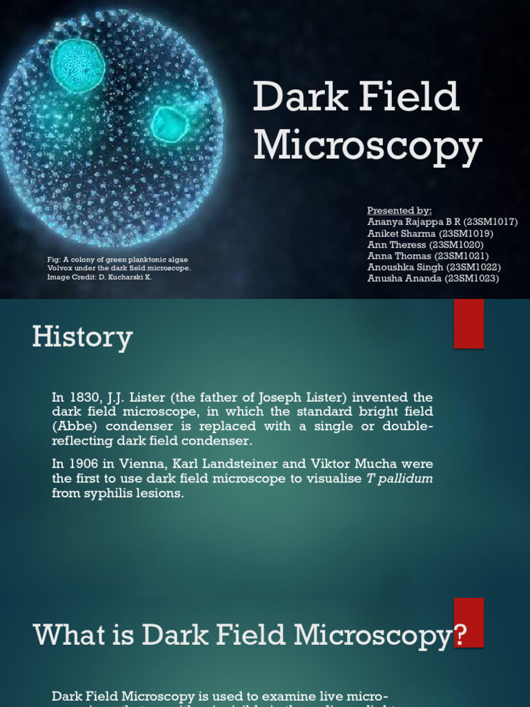 Micro SDL PowerPoint-1 | PDF | Staining | Microscope
