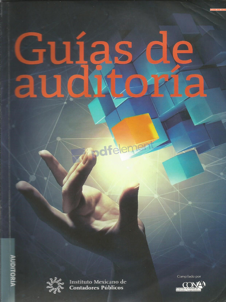 Guias de Auditoria | PDF