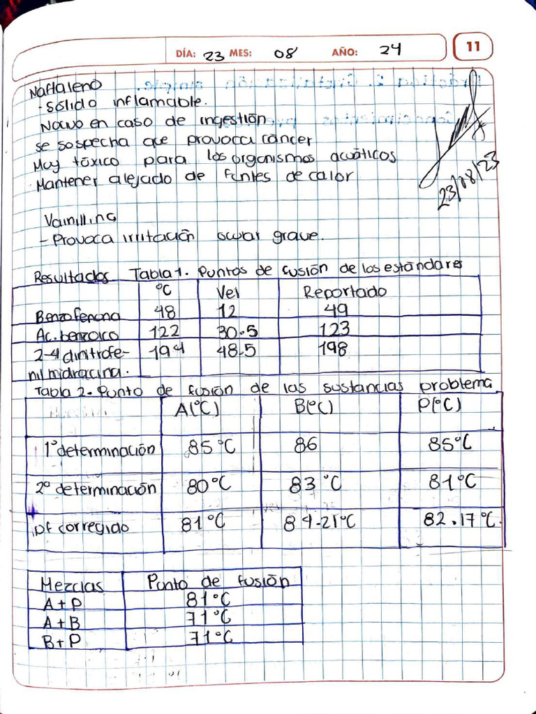 PREVIO P2. BRAVO LOPEZ LIZZET - Compressed-1 | PDF