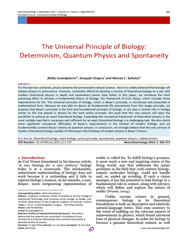 Determinism, Quantum Physics and Spontaneity | PDF | Chemical Equilibrium | Physics