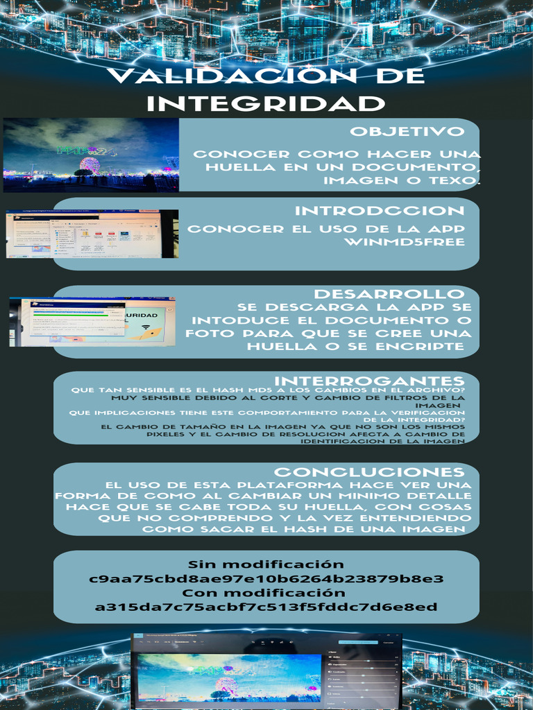 Blue Digital Citizenship Technology Infographic | PDF | Informática