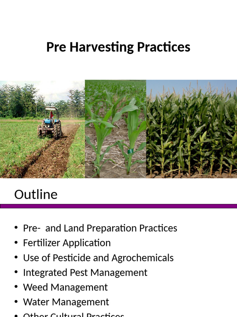 Pre Harvesting Practices | PDF | Pesticide | Soil