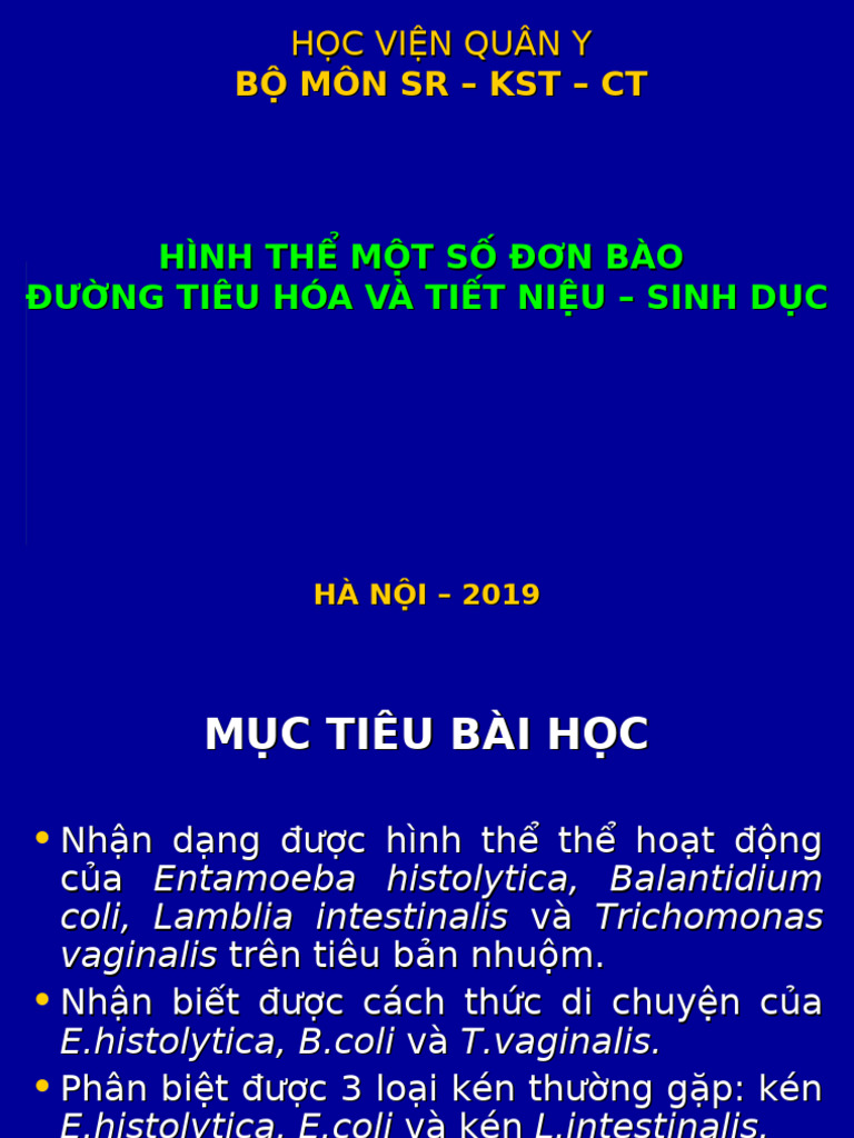 Hinh The Mot So Don Bao Tieu Hoa Tiet Nieu Sinh Duc | PDF
