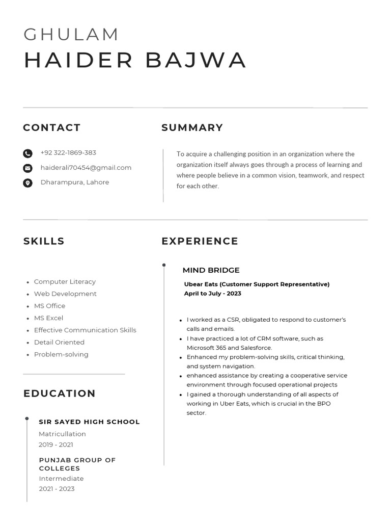 Haider's Resume-1 | PDF