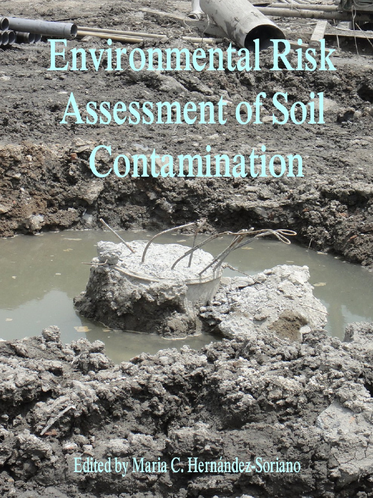 Environmental Risk AssessmentSoil Contamination 14ITave | PDF | Soil | Water Pollution