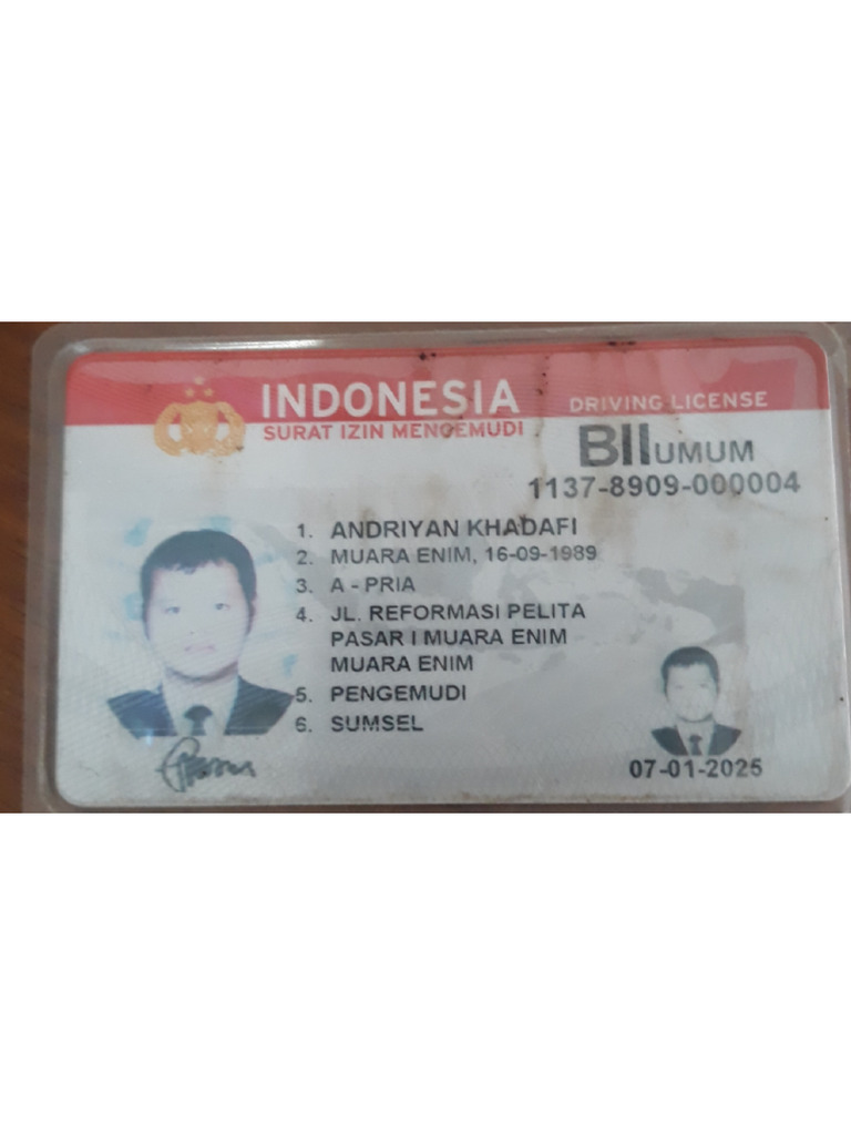 Sim B Ii Umumu | PDF