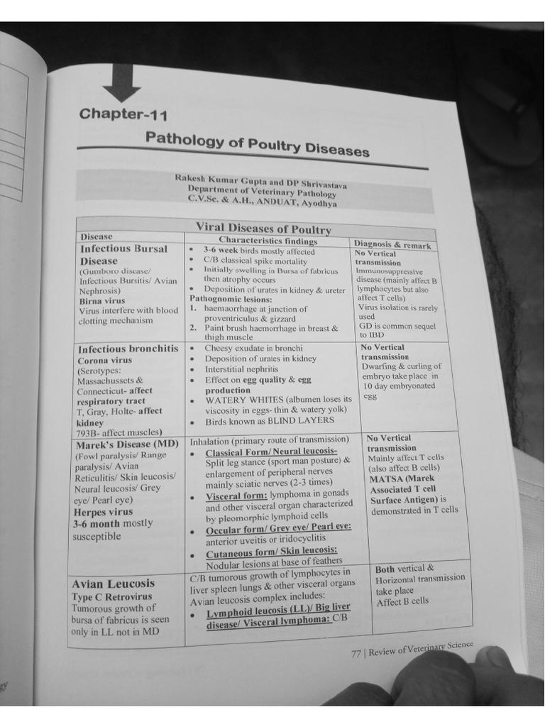 Avian Disease For Pathology | PDF