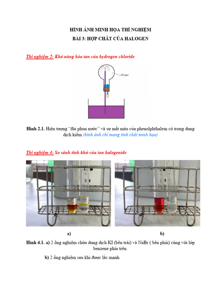 Bai 3 - Hop Chat Cua Halogen - Anh Minh Hoa | PDF