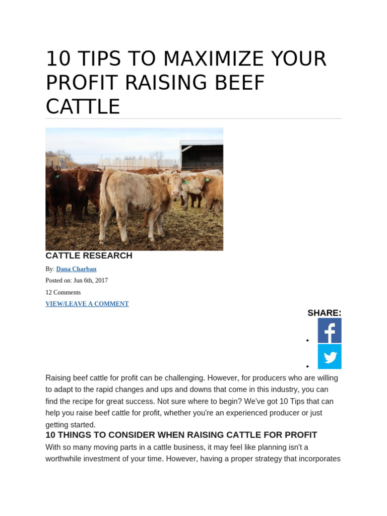 Maximize Profit in Beef Cattle Raising | PDF | Cattle | Marketing