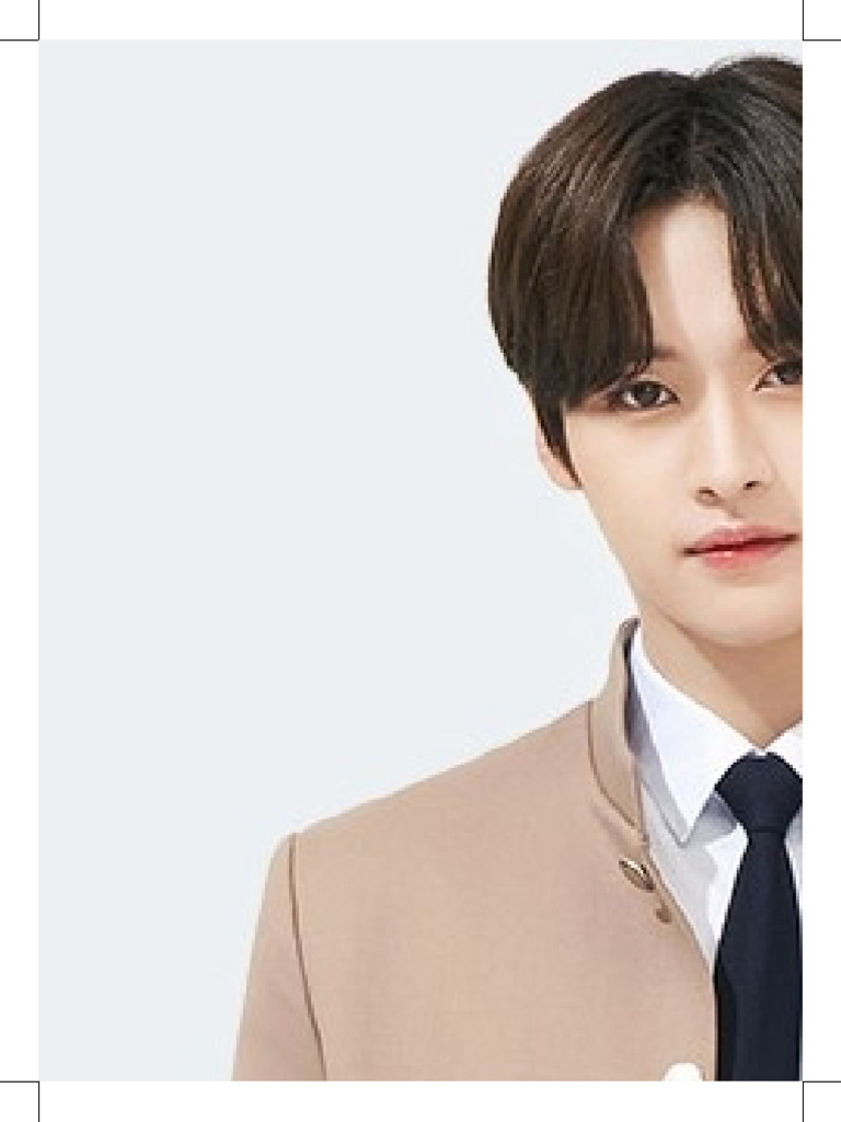 Lee Know Poster | PDF