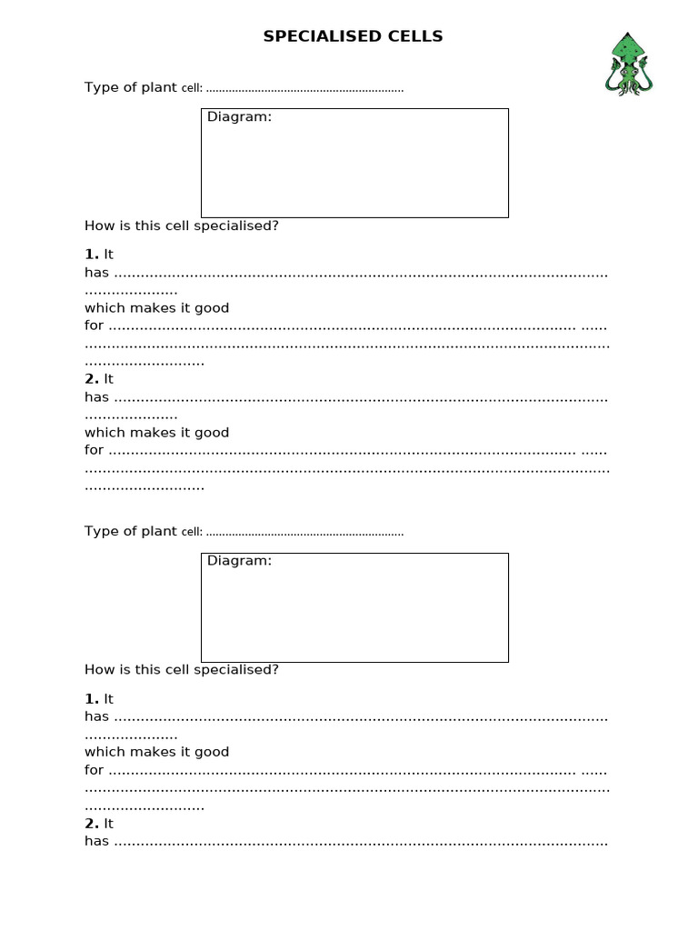 Specialised_Cells_ws_ 2 | PDF | Cell Biology | Biology