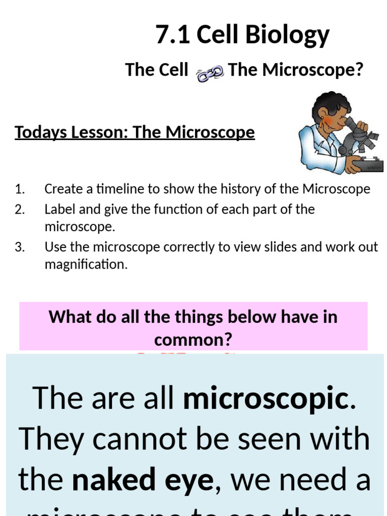 Microscope History and Usage Guide | PDF | Microscope | Optical Devices