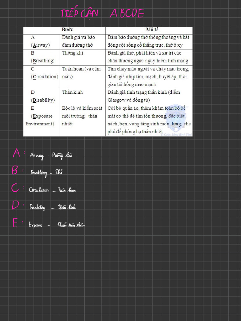 Tiếp Cận ABCDE | PDF