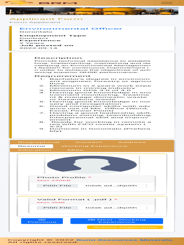 BRM Careers Applicant Form | PDF | Business | Technology & Engineering