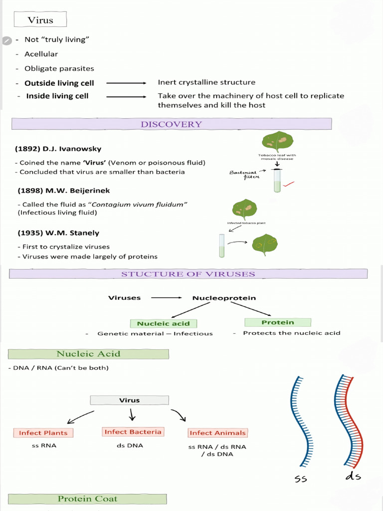 Virus, Viroids | PDF