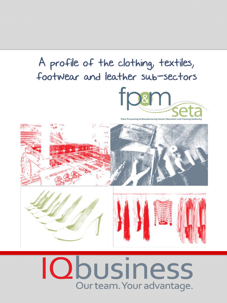 FPM Sub-Sector Clothing Textiles Footwear Leather Final | PDF | Textiles | Clothing