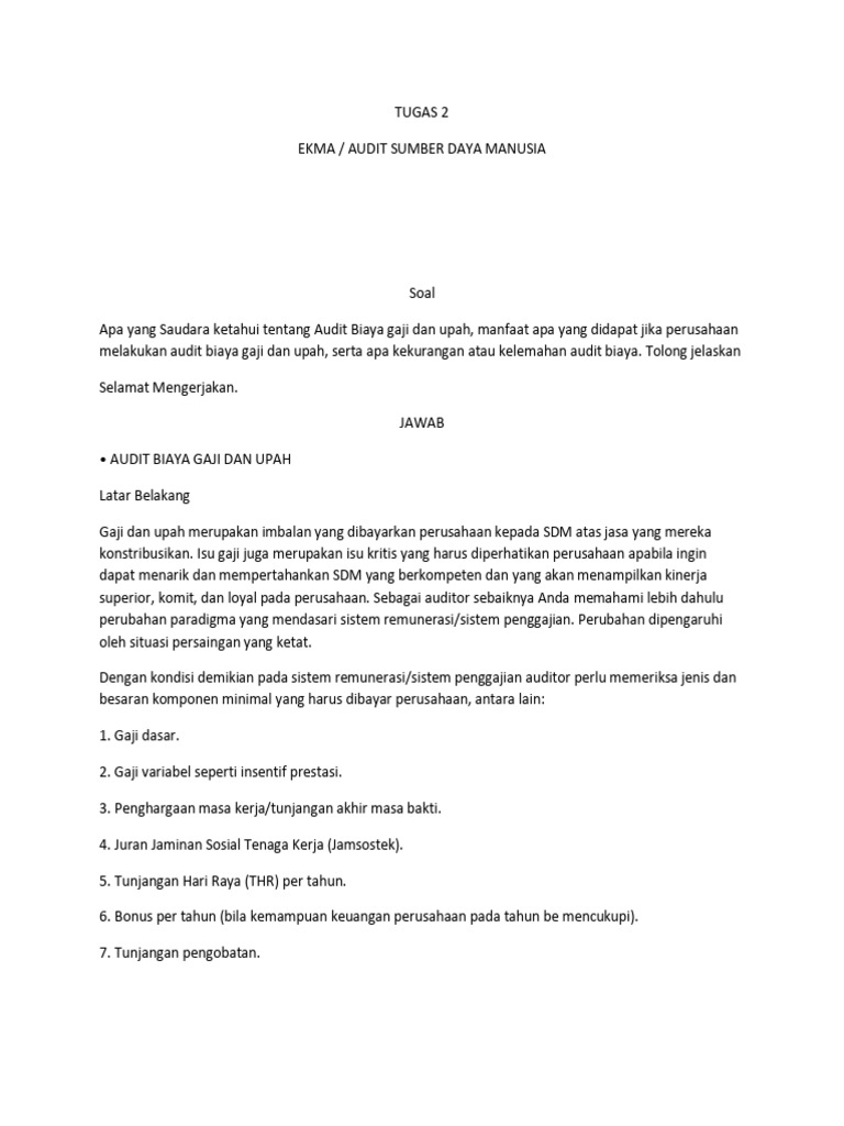 Tugas 2-Audit SDM | PDF