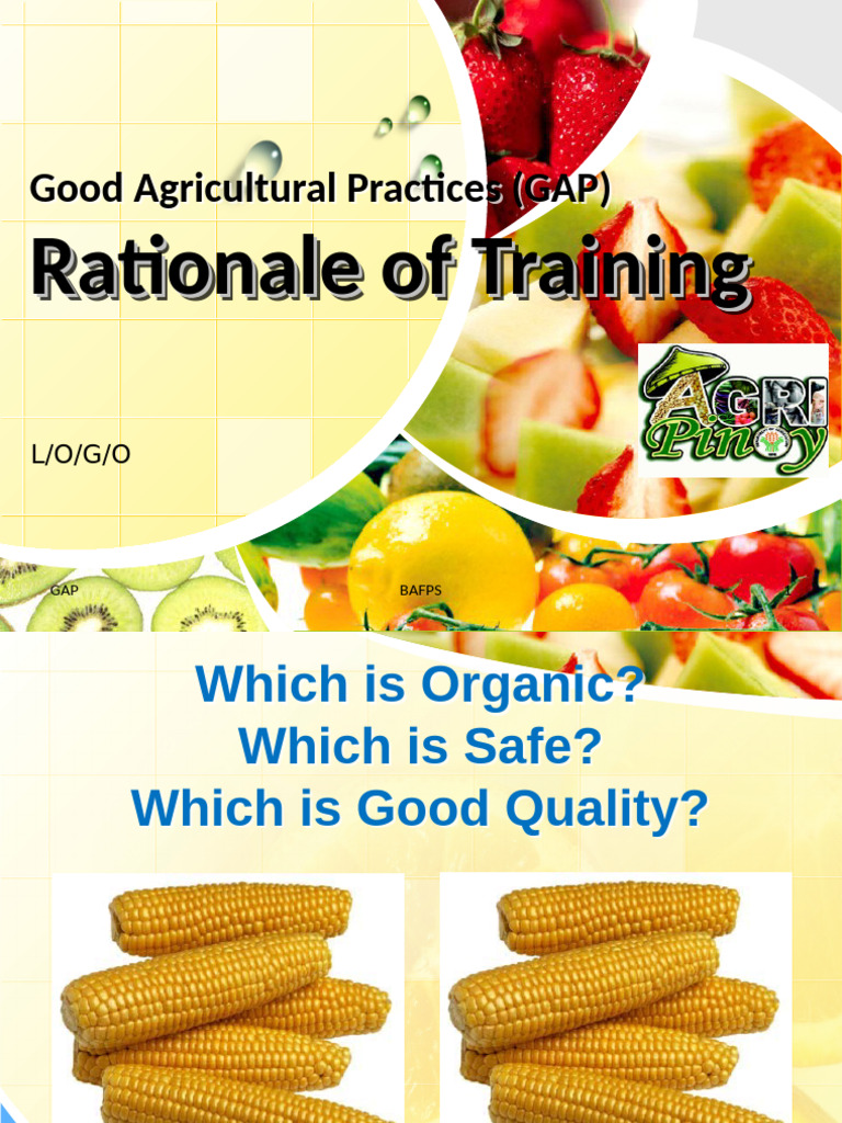 Rationale For GAP Corn | PDF | Hazard Analysis And Critical Control ...