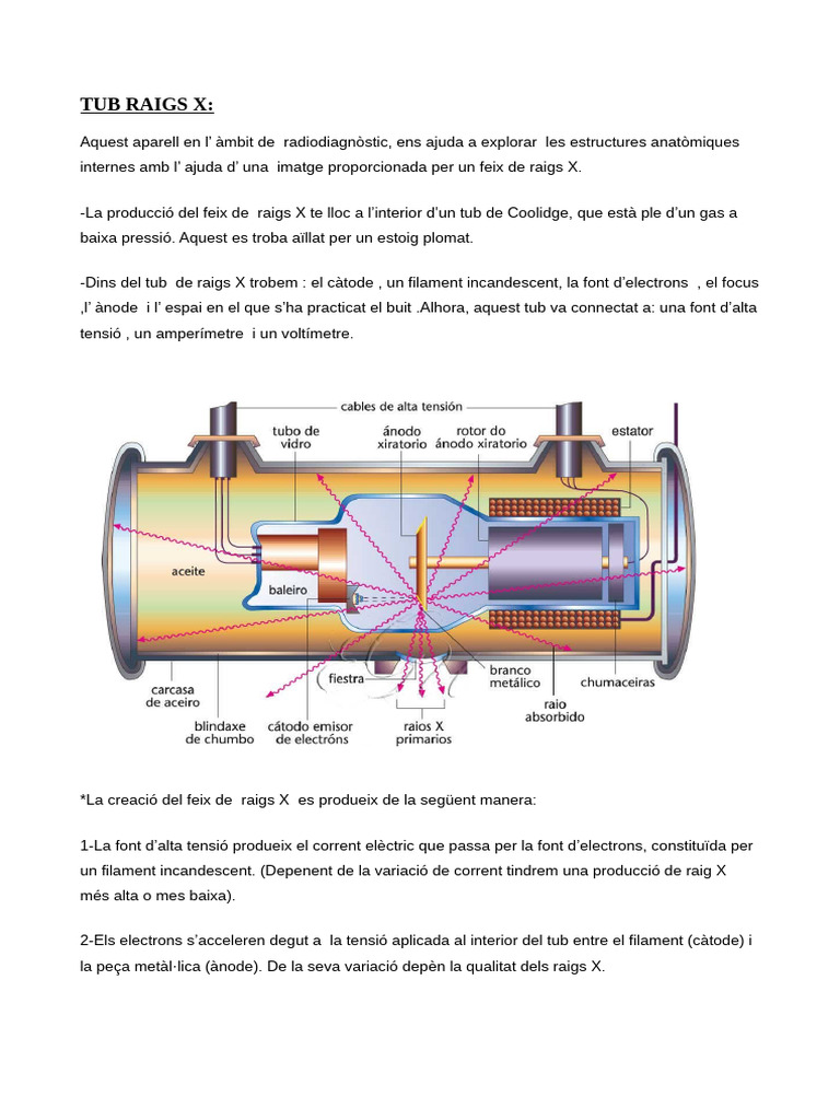 Treball Final Grau | PDF