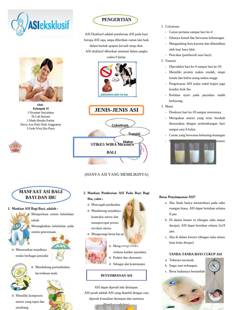 Leaflet - ASI - Eksklusif - Kelompok 10 | PDF