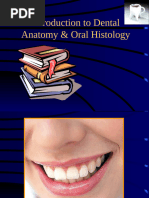 Teeth Labelling Guide and Answers | PDF