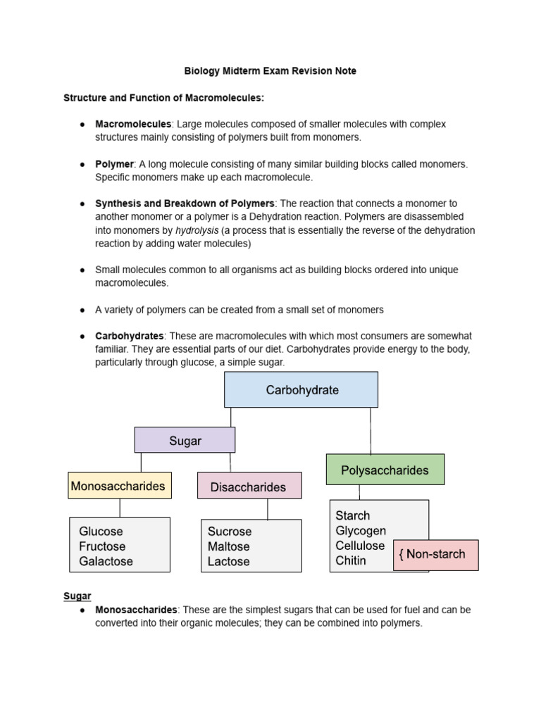 Biology Midterm Exam: Macromolecules Overview | PDF | Cell Membrane ...