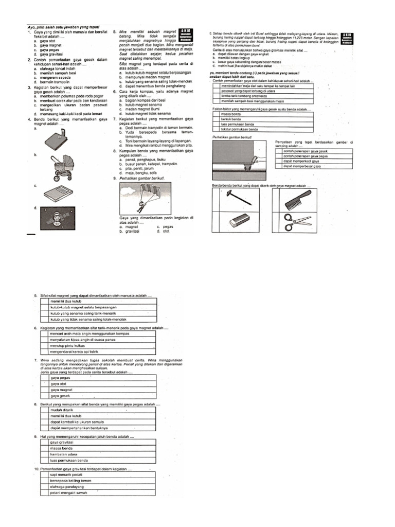 Ipas - Magnet | PDF