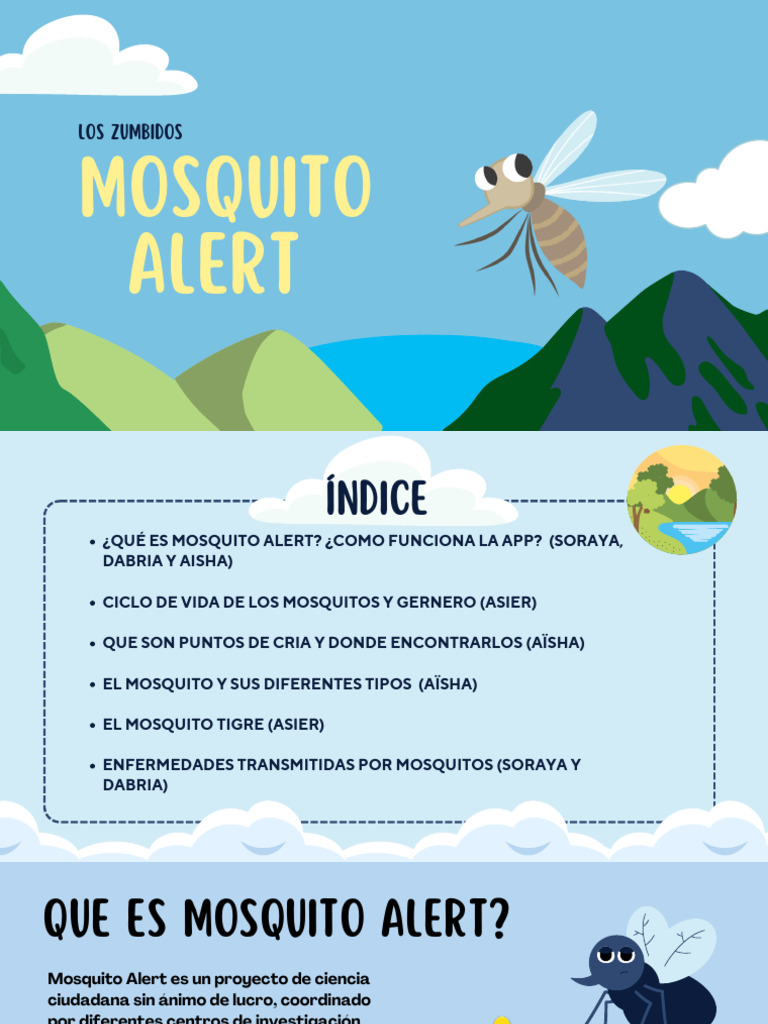 Mosquito Alert: App y Ciclo de Vida | PDF | Mosquito | Insectos y humanos