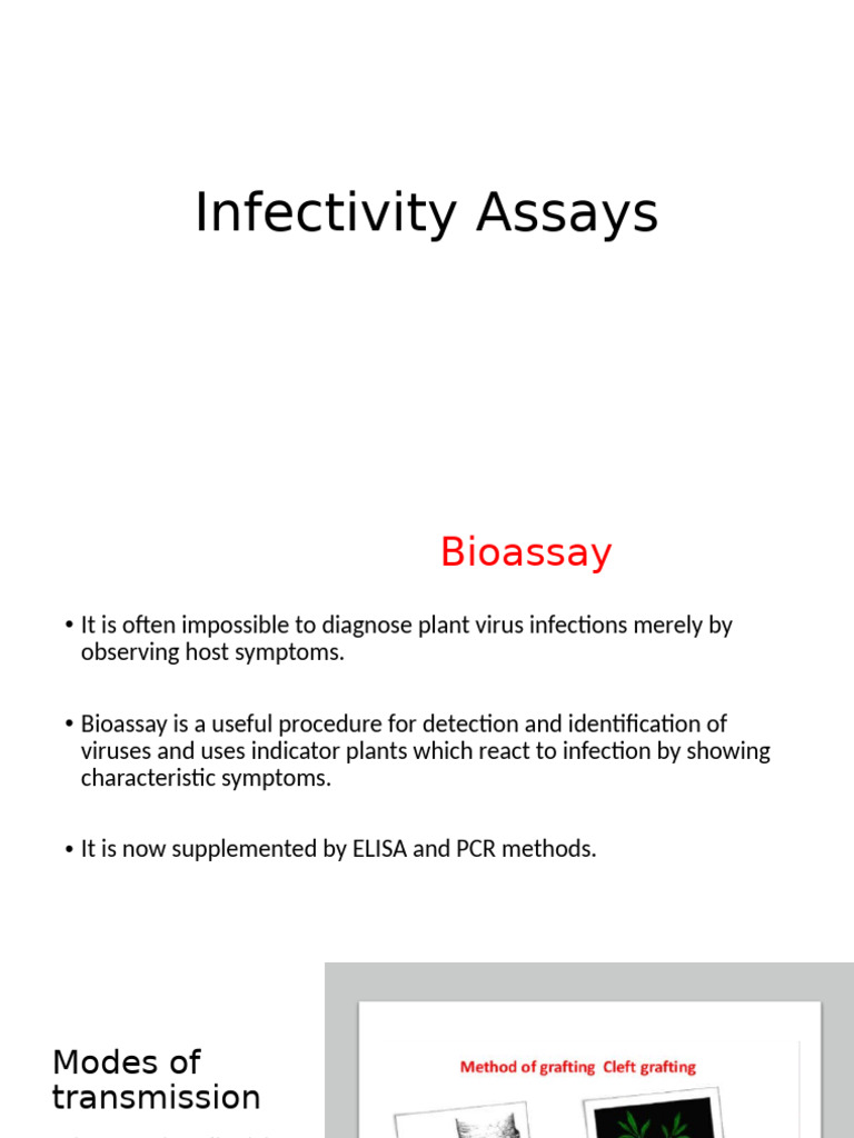 Infectivity Assay | PDF | Virus