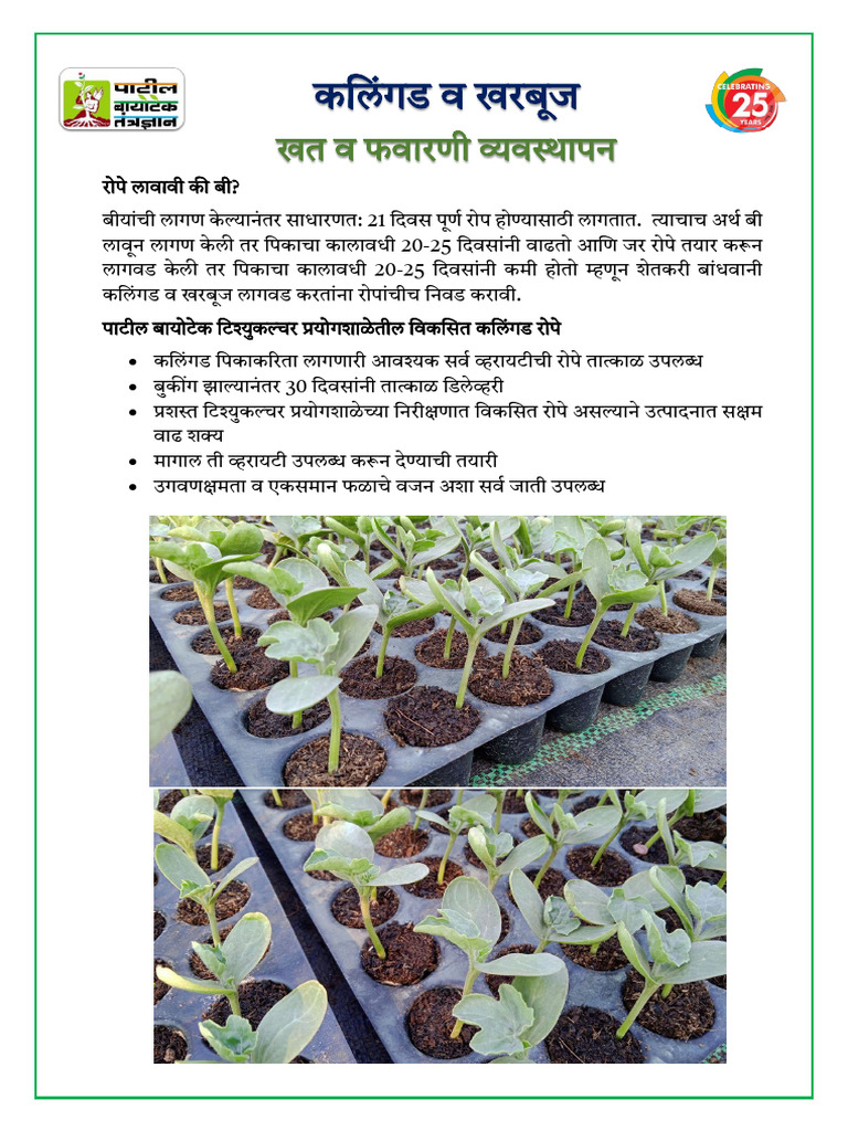 Watermelon Schedule | PDF