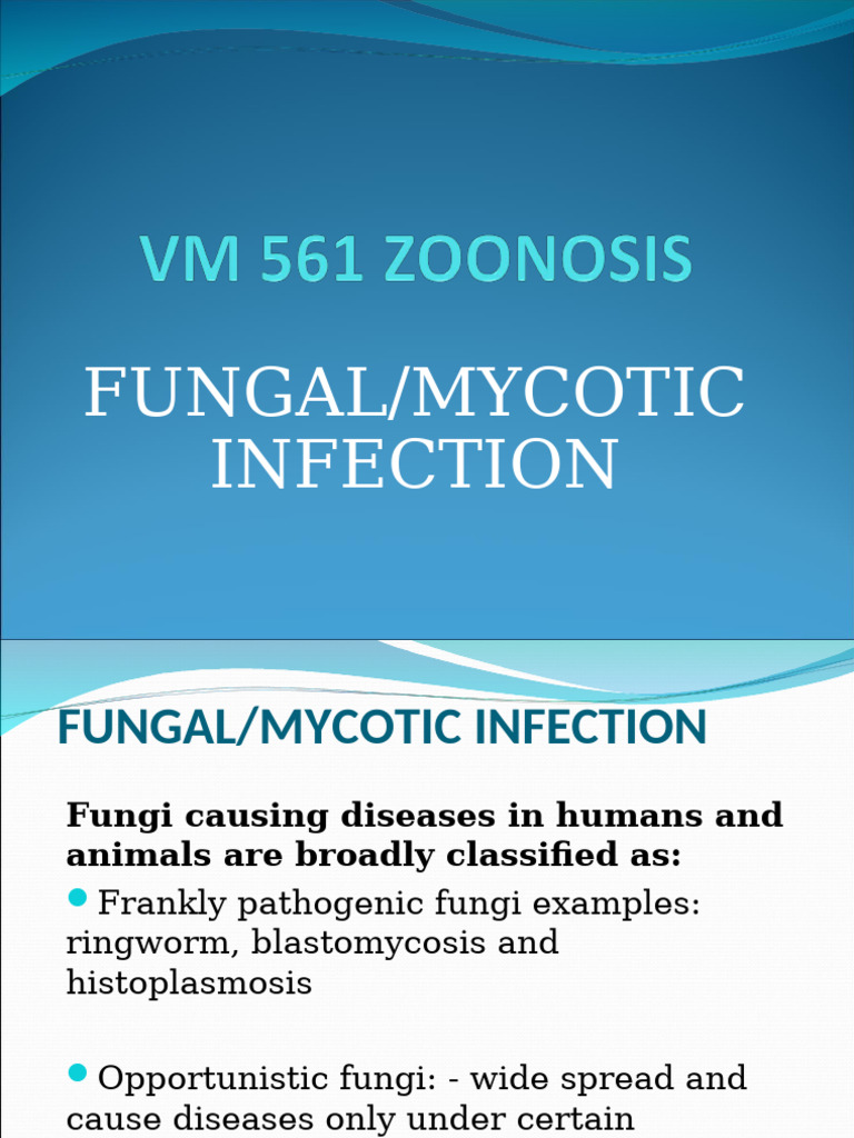 Lecture 6 - 1 Mycotic Infection | PDF | Fungus | Infection