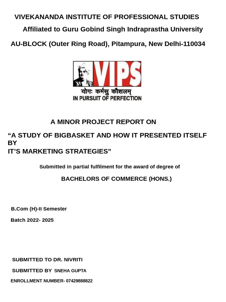 Sneha Bcom2c MPR Project | PDF | Marketing | Marketing Strategy