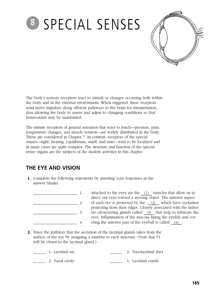 Special Senses - Eyes | PDF | Ear | Senses