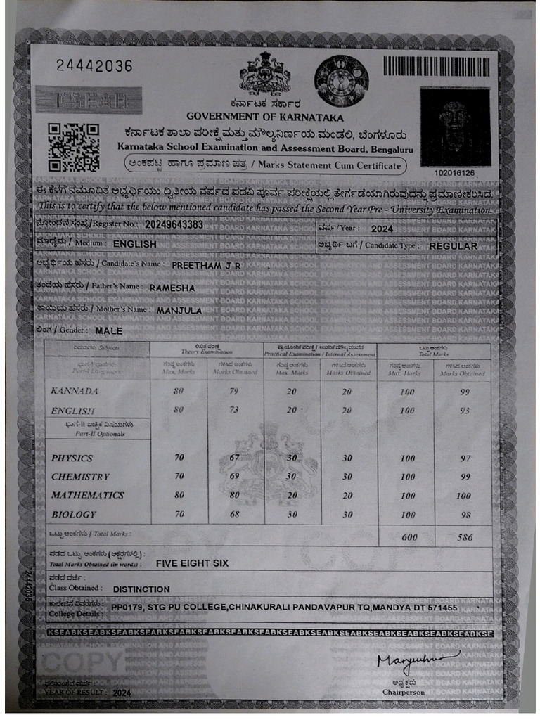 Puc Marks Card | PDF