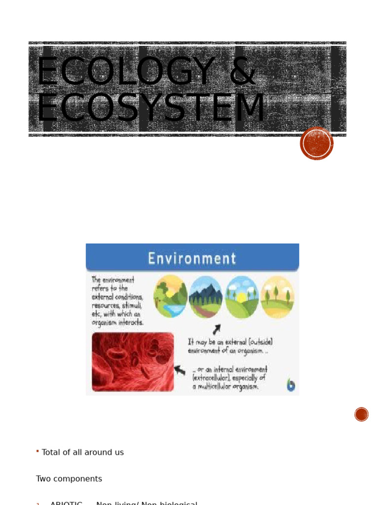 Ecology & Ecosystem | PDF | Ecosystem | Ecology