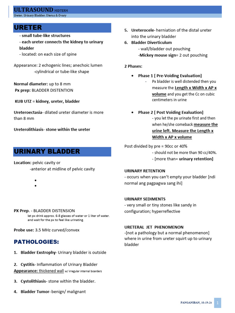 UTZ Midterms Ureter Ovary | PDF | Uterus | Urinary System