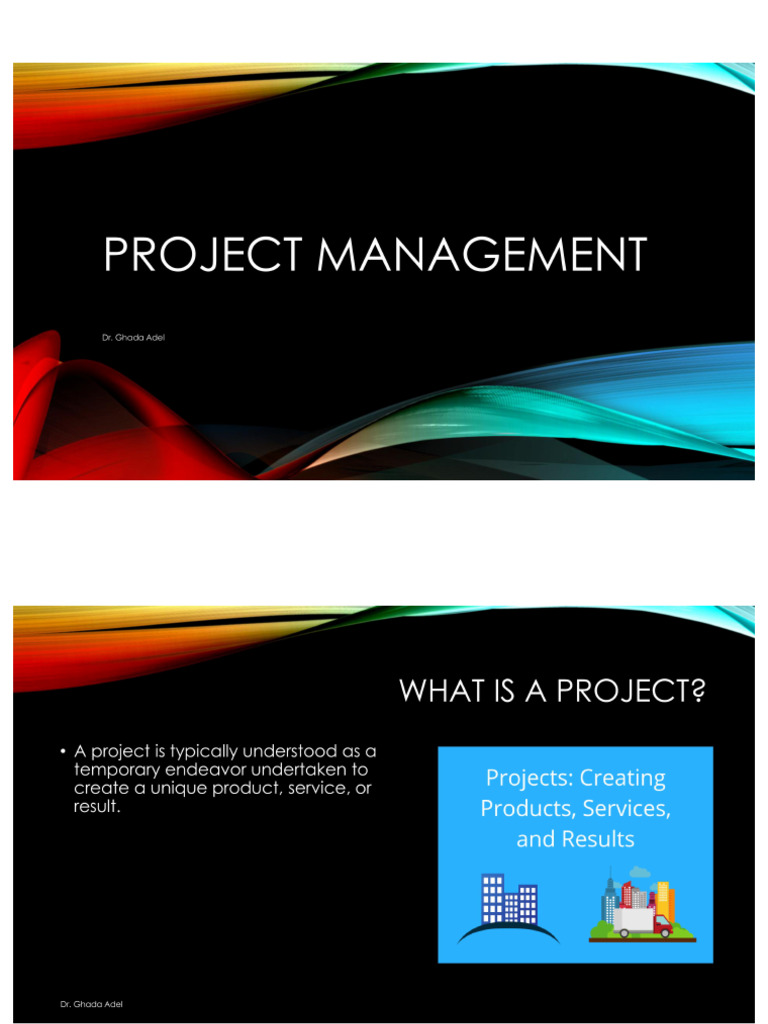 Project Management 1 | PDF