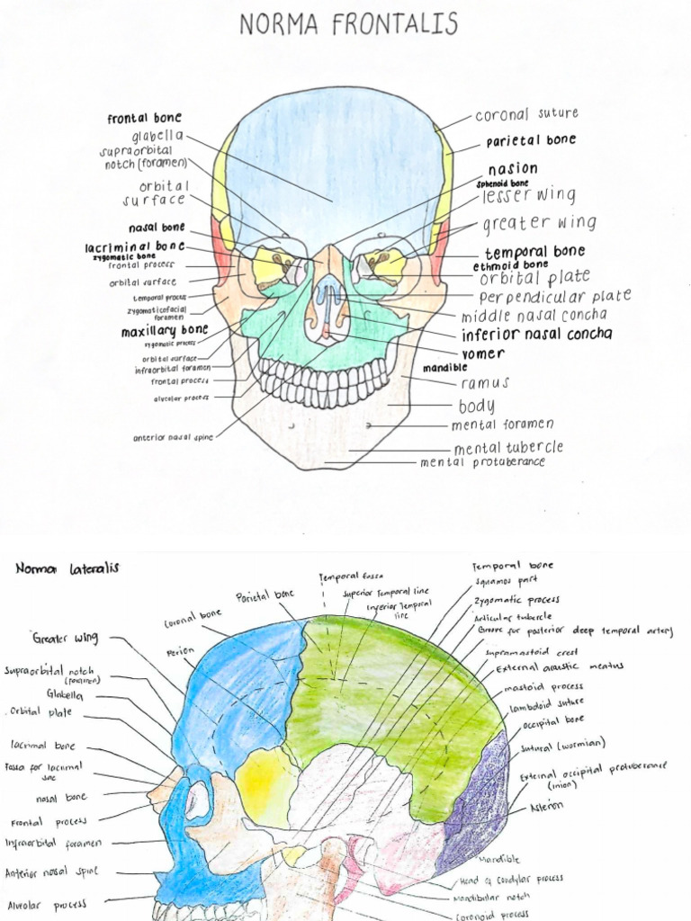 m3 Post Task Prelims | PDF